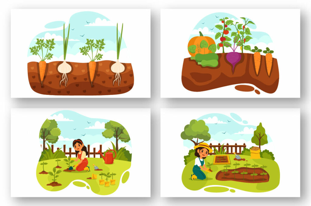 11 Growing Vegetables Illustration - MasterBundles