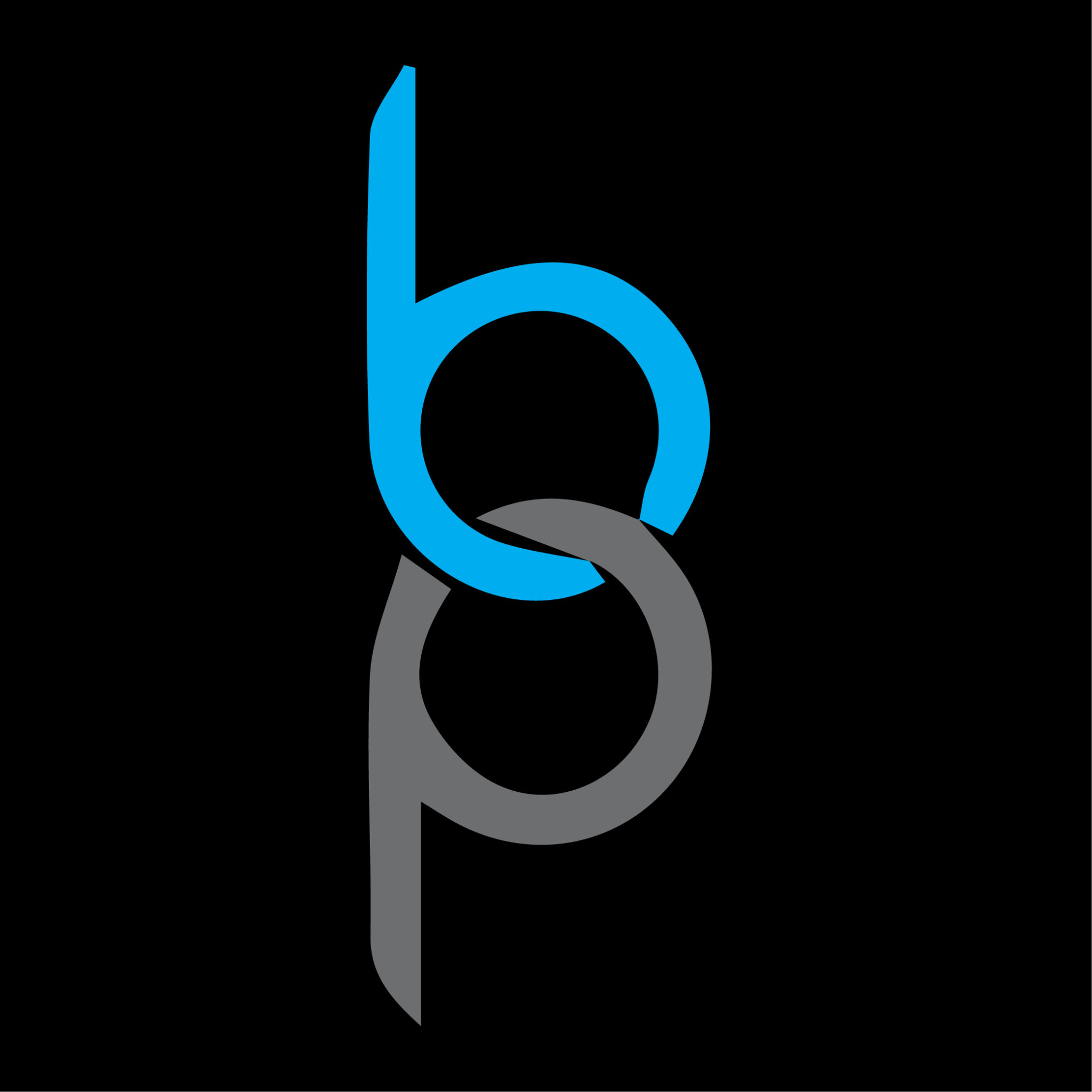 Letter BP Logo or Icon Design Vector Image Template - MasterBundles