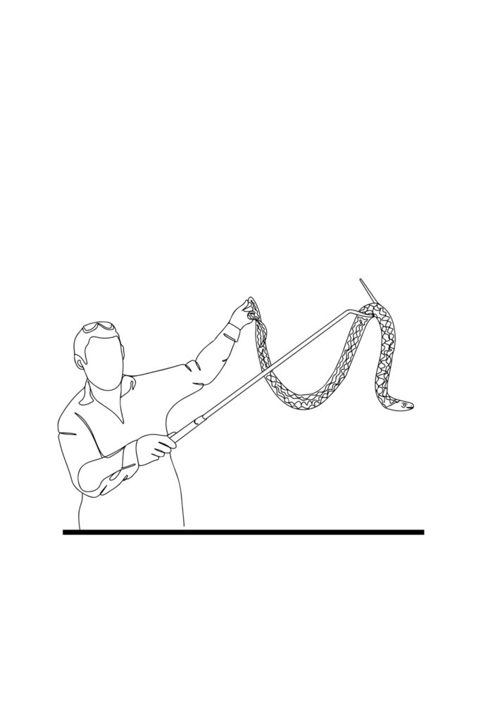 Snake Handling Mastery: Professional Catcher One-Line Cartoon ...