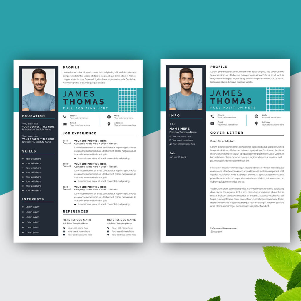 Professional Resume Layout Modern Cv Design - MasterBundles