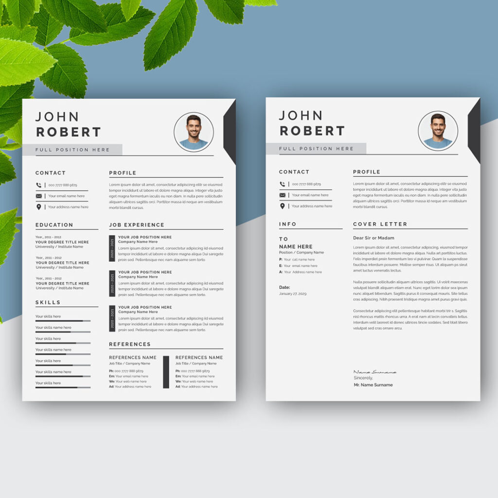 Modern Professional Resume Layout CV Design - MasterBundles