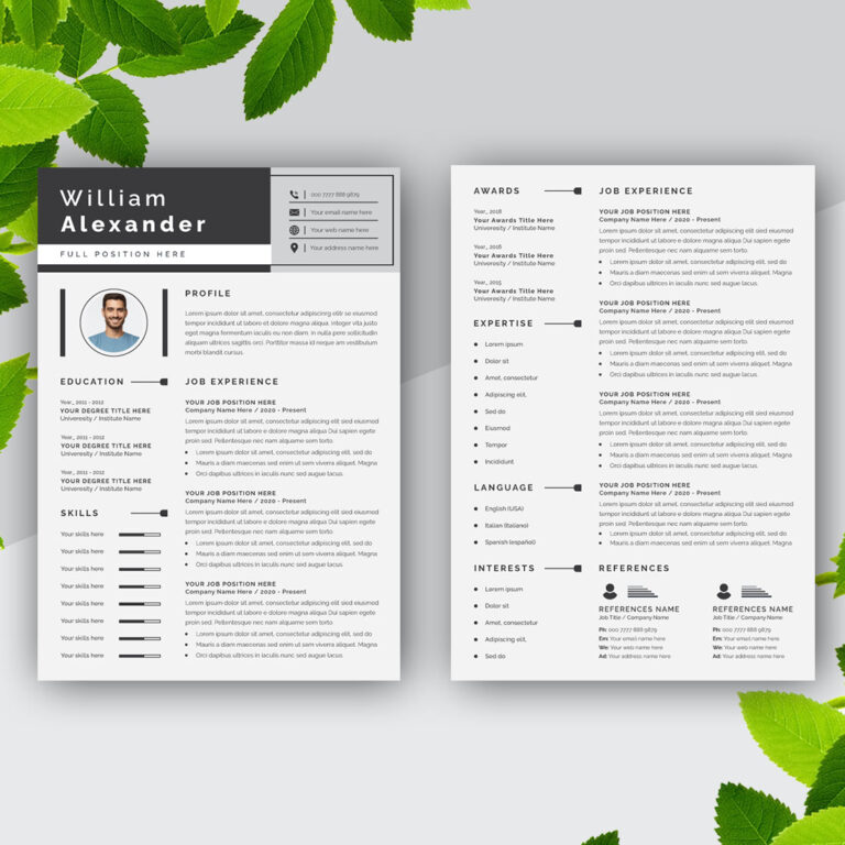 Modern and Professional Resume CV Template Design Layout - MasterBundles
