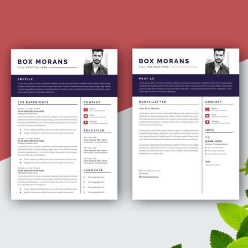 Professional Resume CV Layout Design Template - MasterBundles