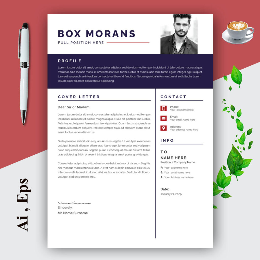 Professional Resume CV Layout Design Template - MasterBundles