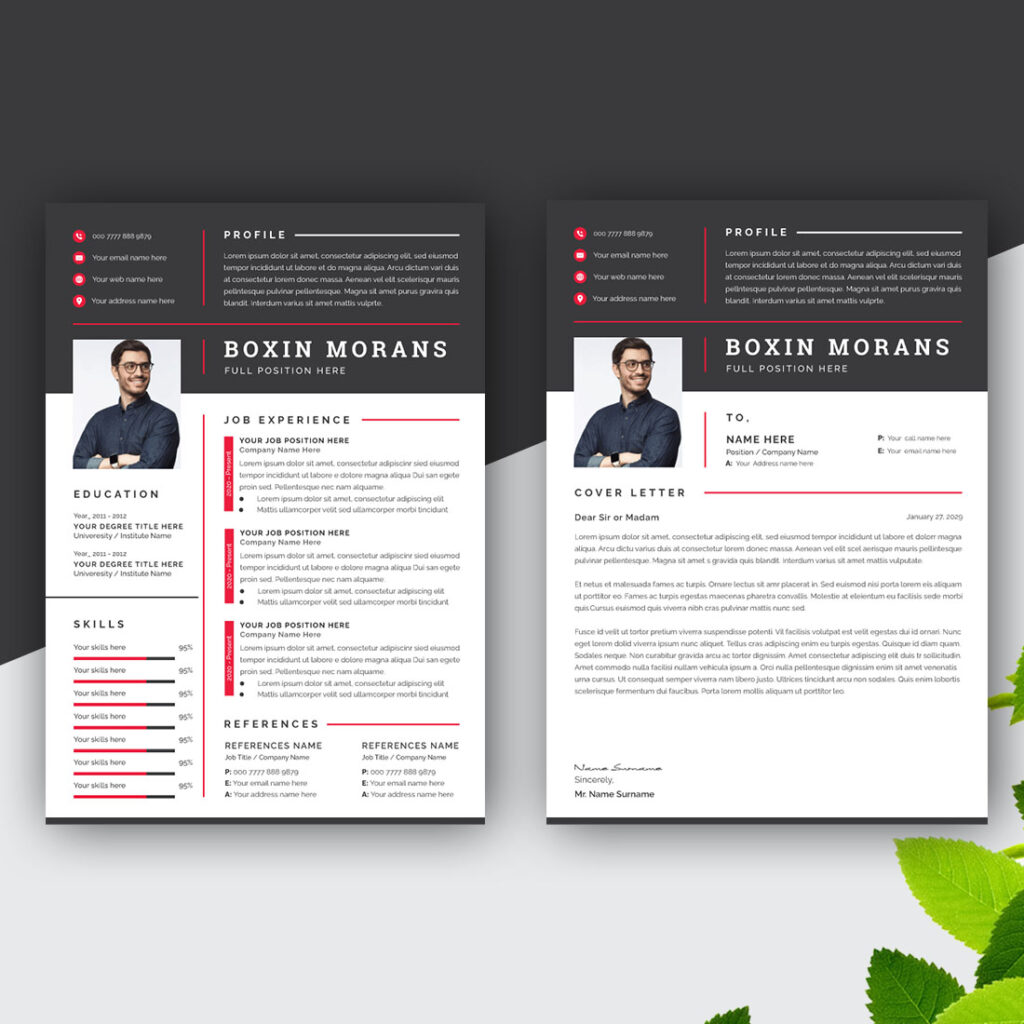 Professional Resume CV Template Layout Design - MasterBundles