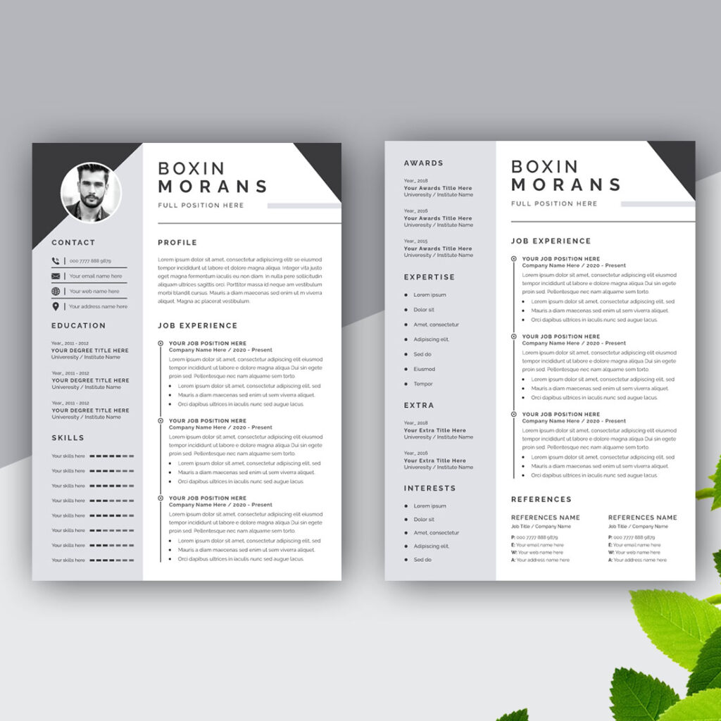 Business Cv Template Layout - MasterBundles