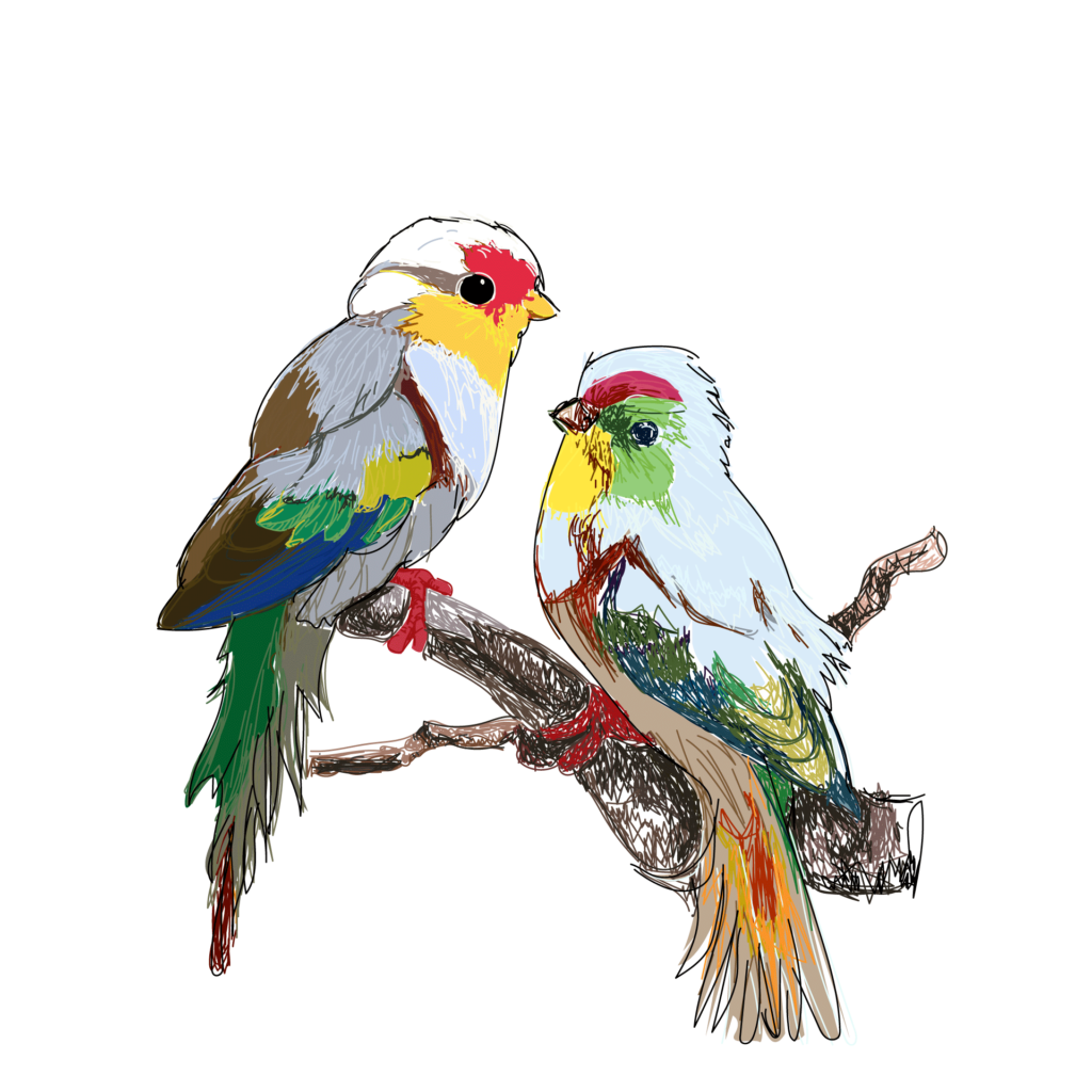 Long tail birds Vector Design . - MasterBundles