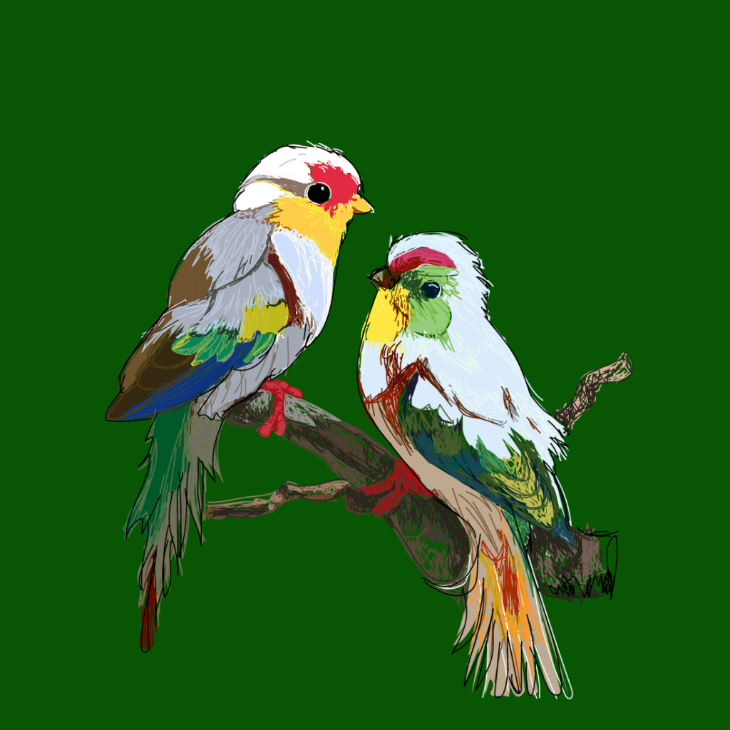 Long tail birds Vector Design . - MasterBundles