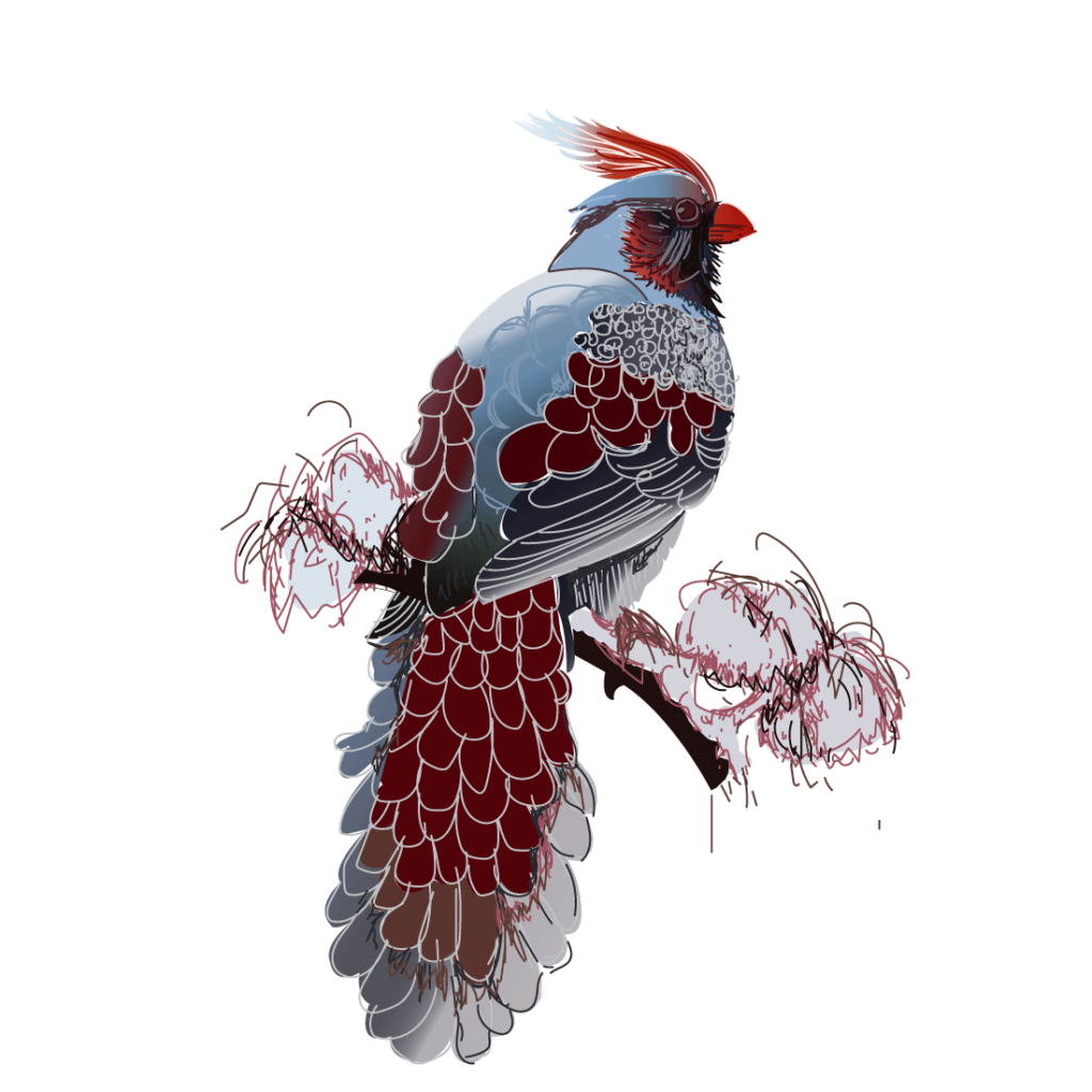 Long tail Beautiful Natural birds Vector Design . - MasterBundles