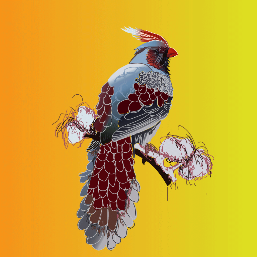 Long tail Beautiful Natural birds Vector Design . - MasterBundles