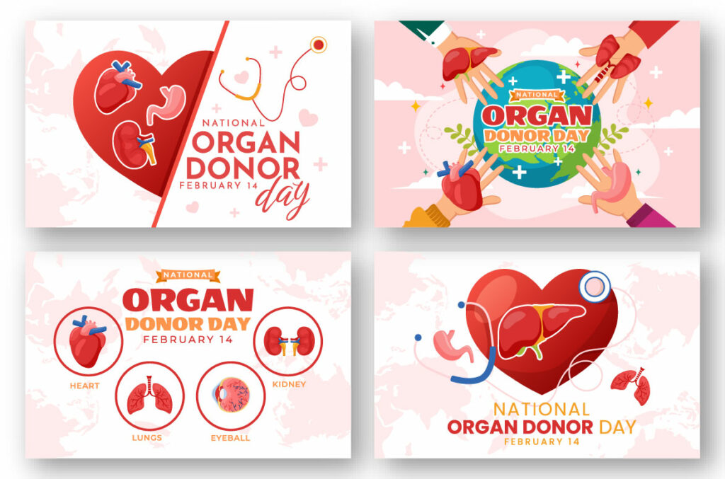 12 National Organ Donor Day Illustration - MasterBundles