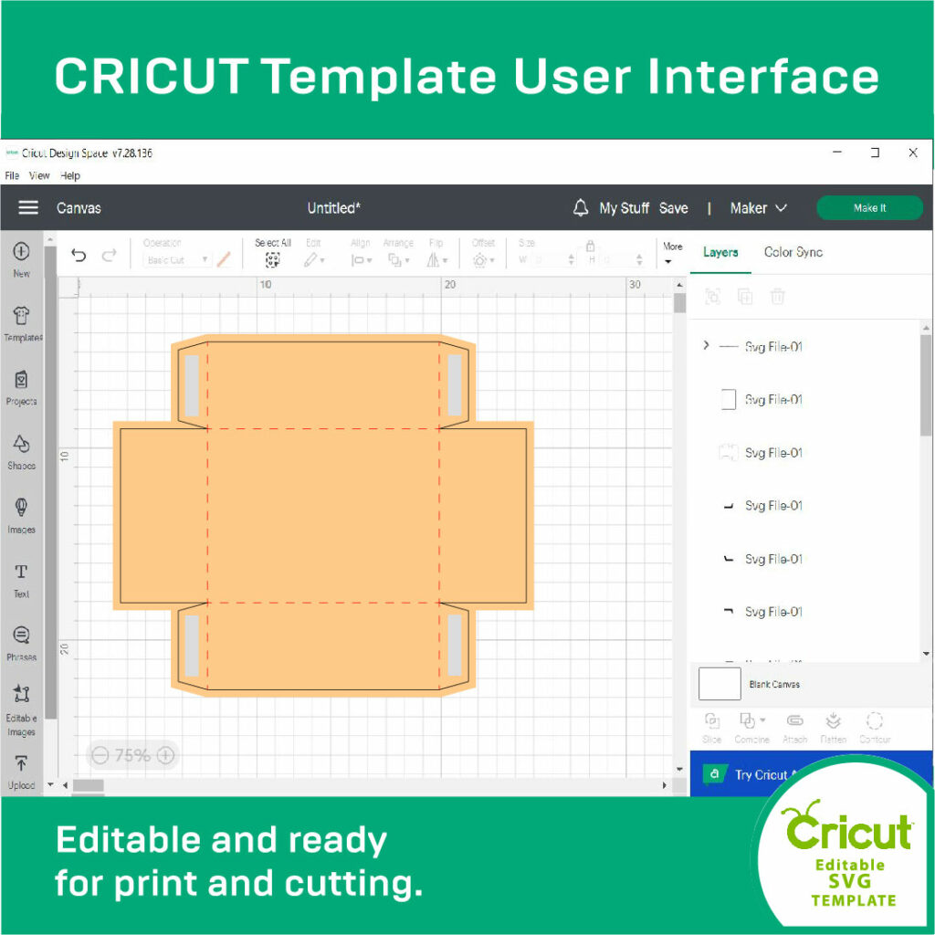 Shoe Box, Rectangle Box, Packaging box, Dieline Template - MasterBundles