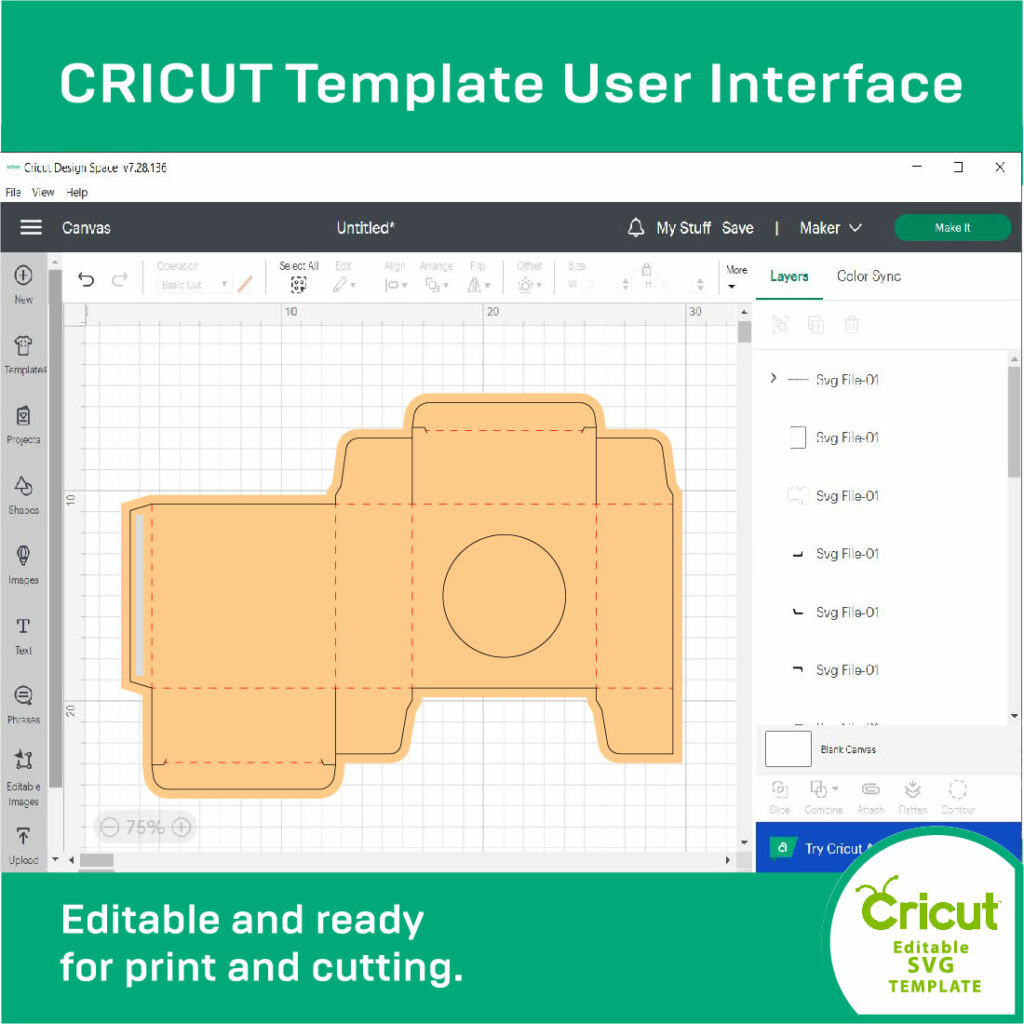 Square Box Dieline Template - MasterBundles