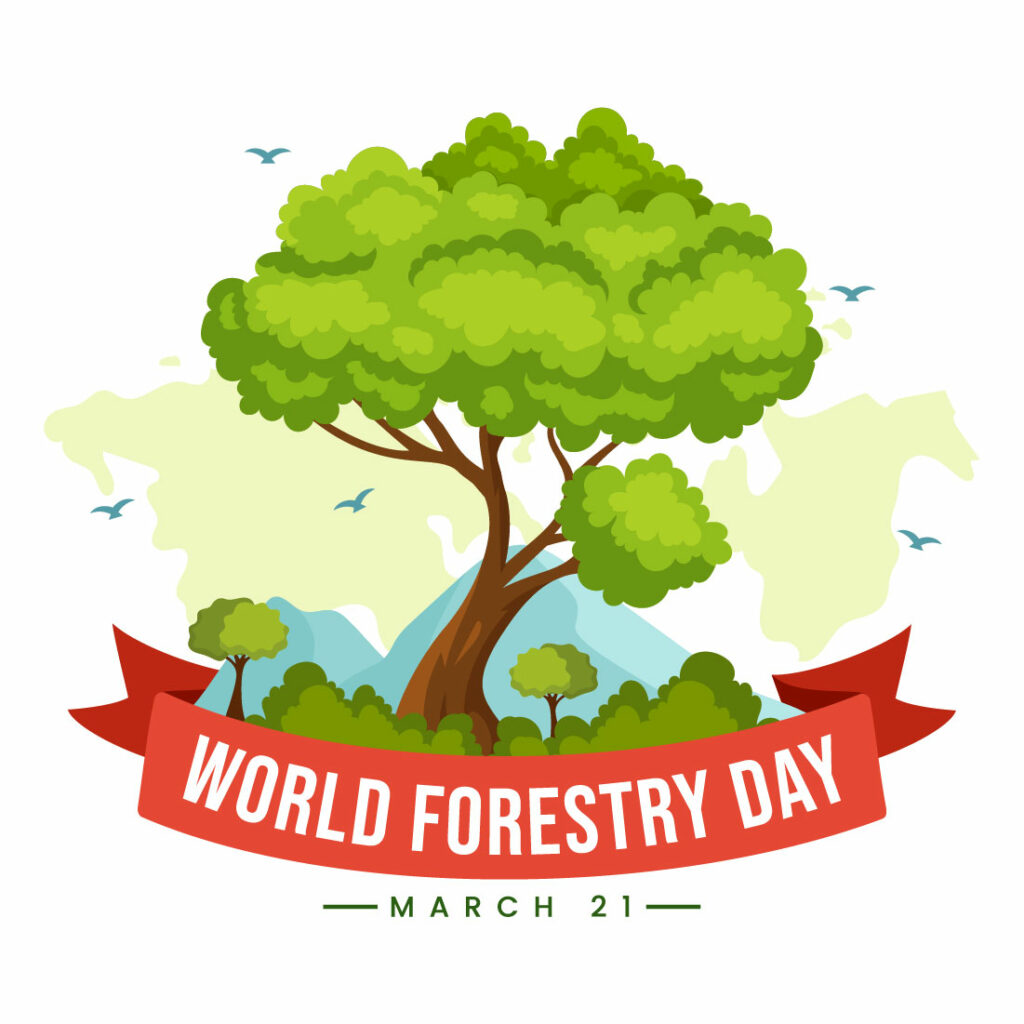 12 International Forest Day Illustration - MasterBundles