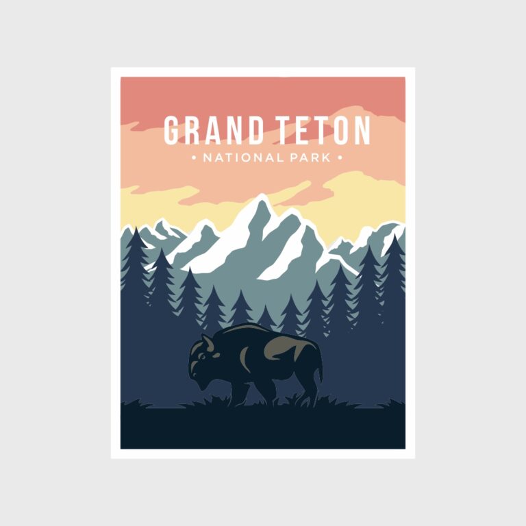 Grand Teton National Park poster vector illustration, beautiful bison ...