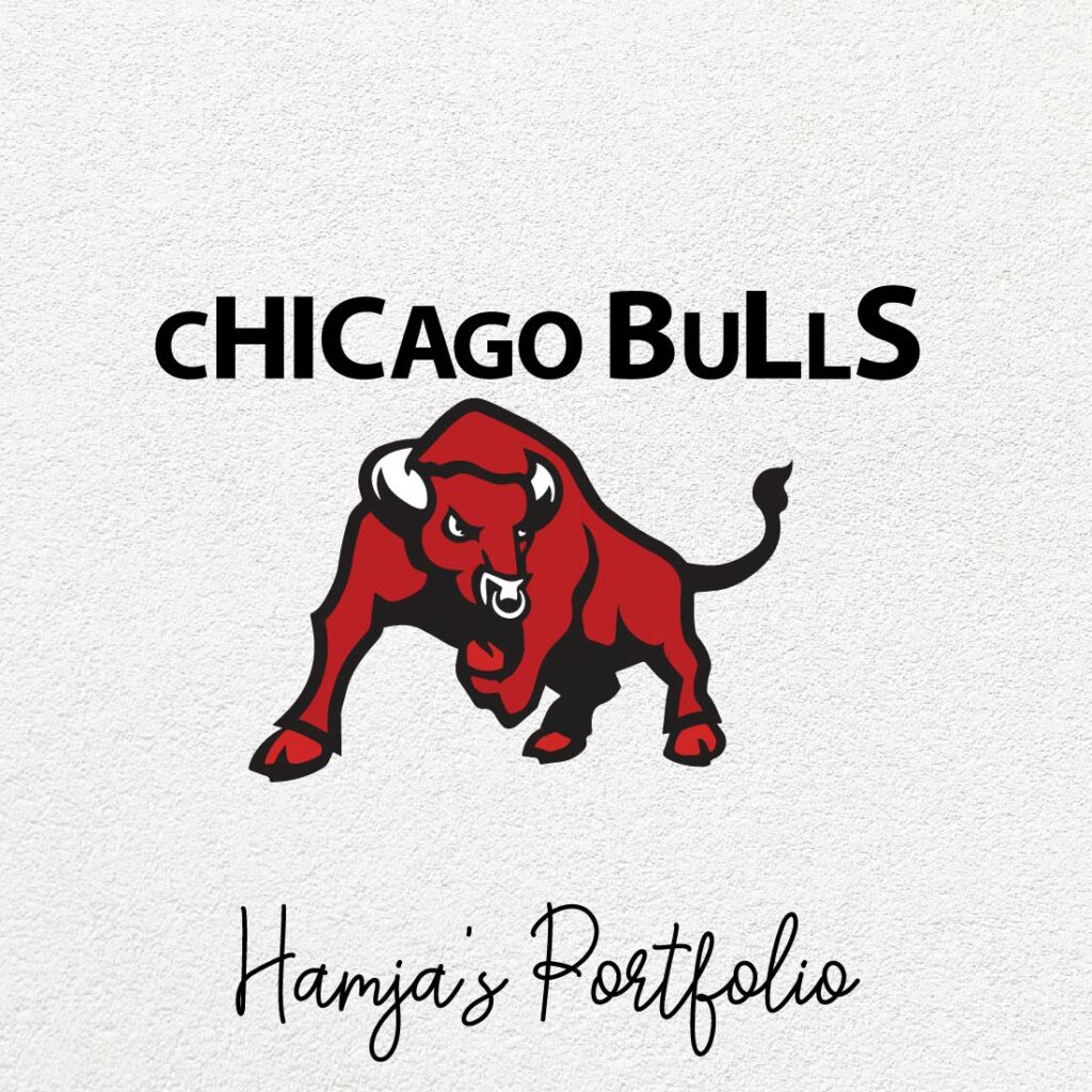 Chicago Bulls Logo Vector Set - MasterBundles