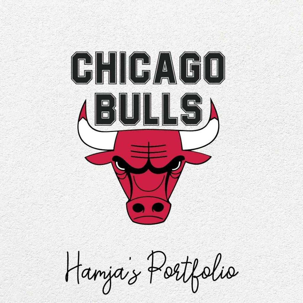 Chicago Bulls Logo Vector Set - MasterBundles