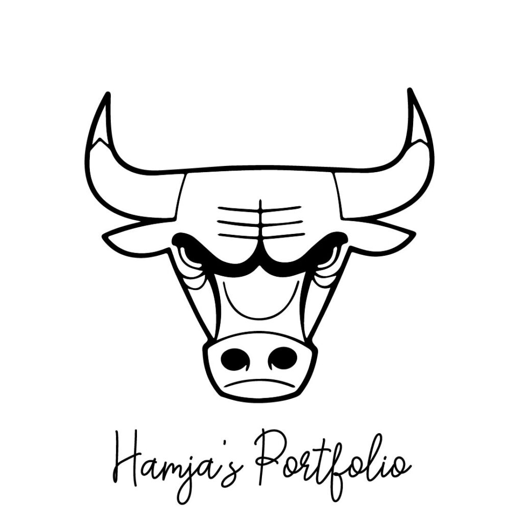 Chicago Bulls Logo Vector Set - MasterBundles