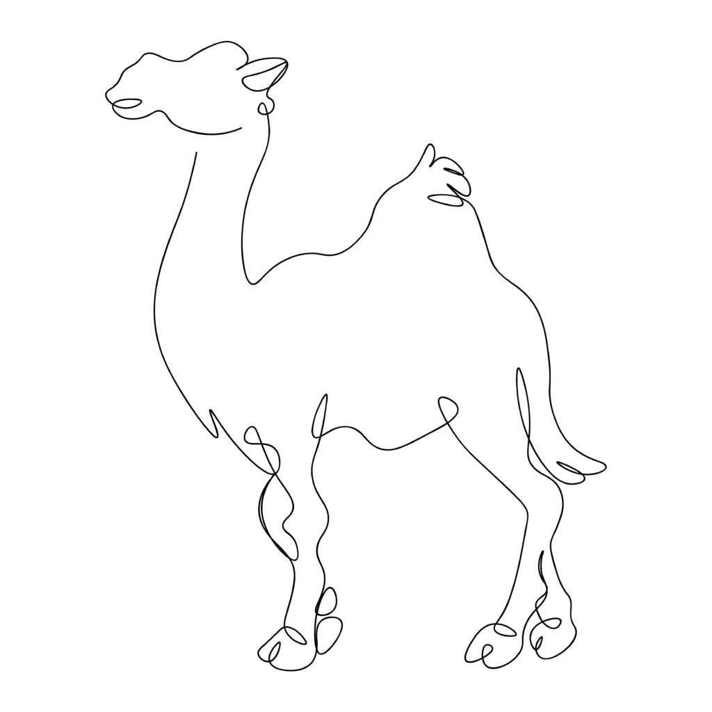 Camel Single Line Art Drawing For Personal Or Commercial Use ...