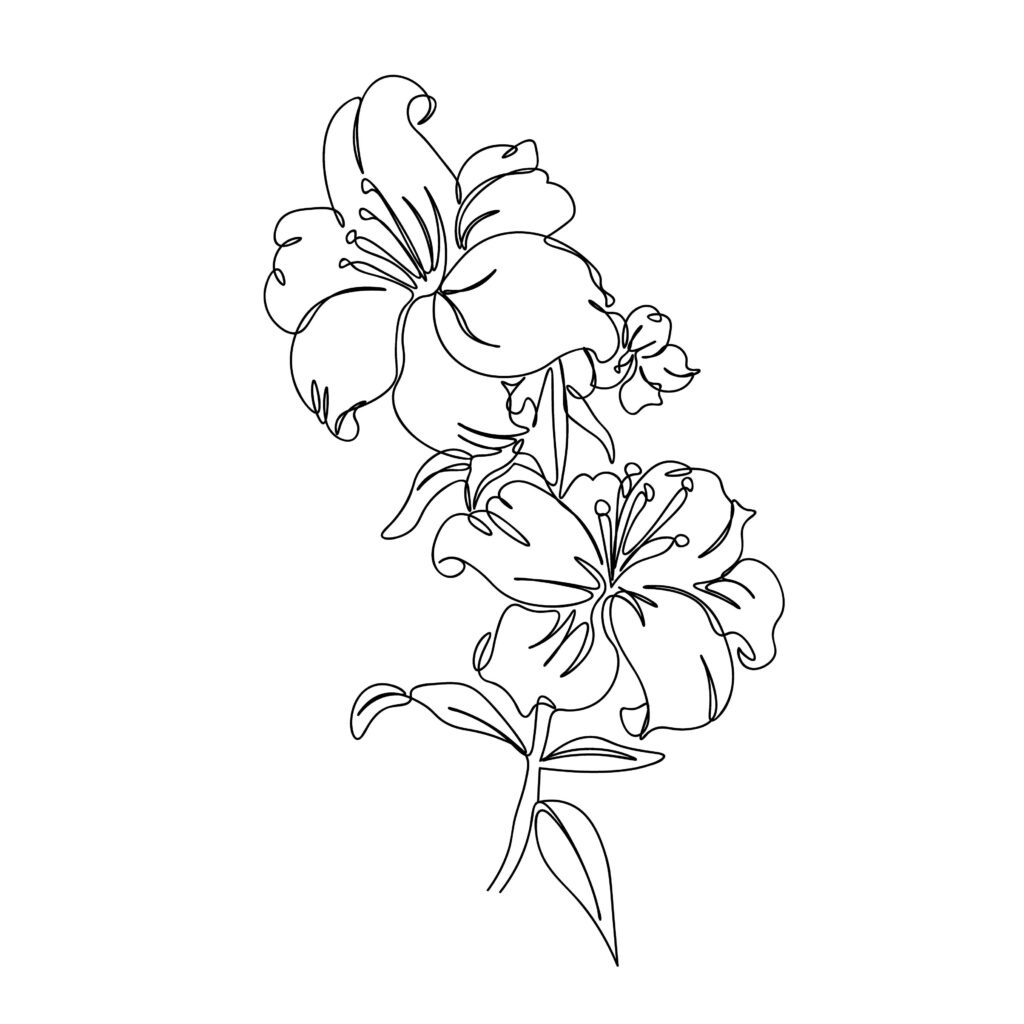 Hibiscus Flower Single Line Art Drawing For Personal Or Commercial Use ...