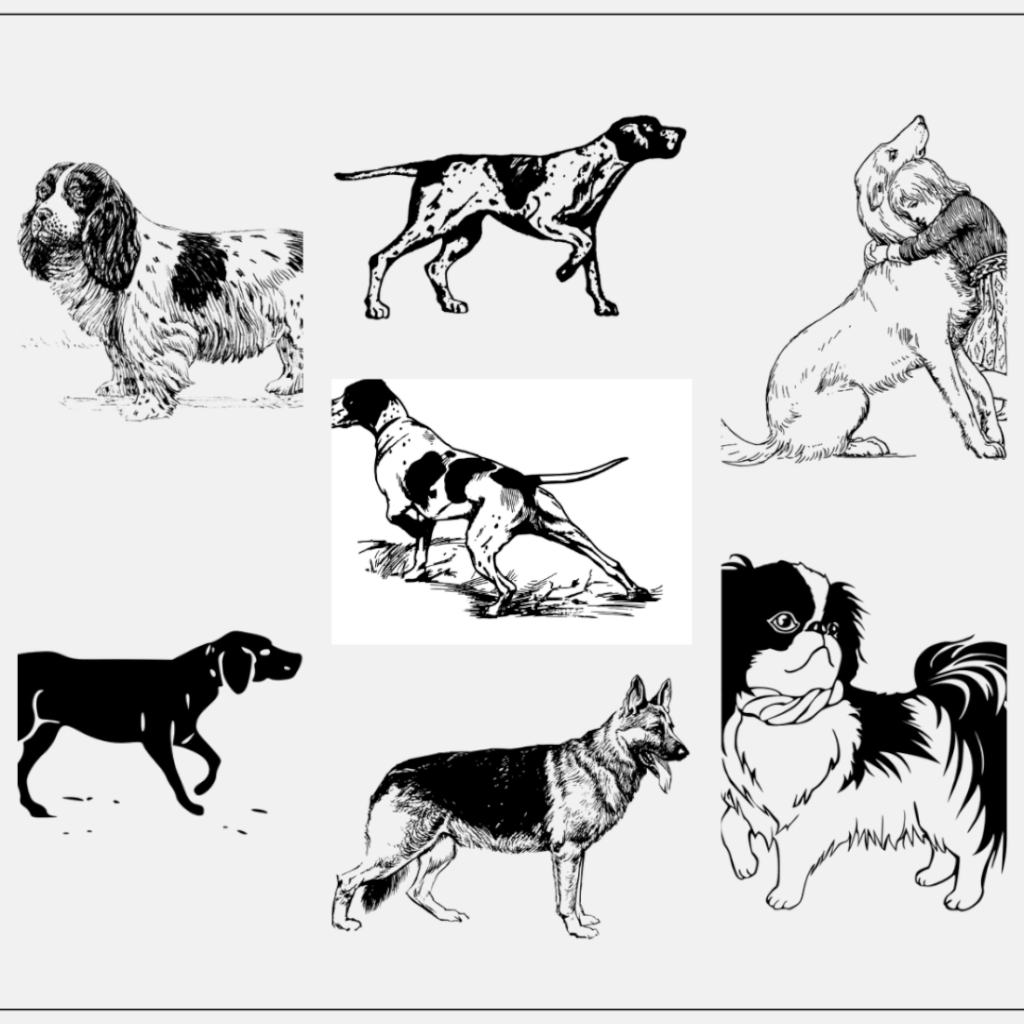 Dog Svg Bundle Top Popular Dog Breeds Svg Bundle - MasterBundles