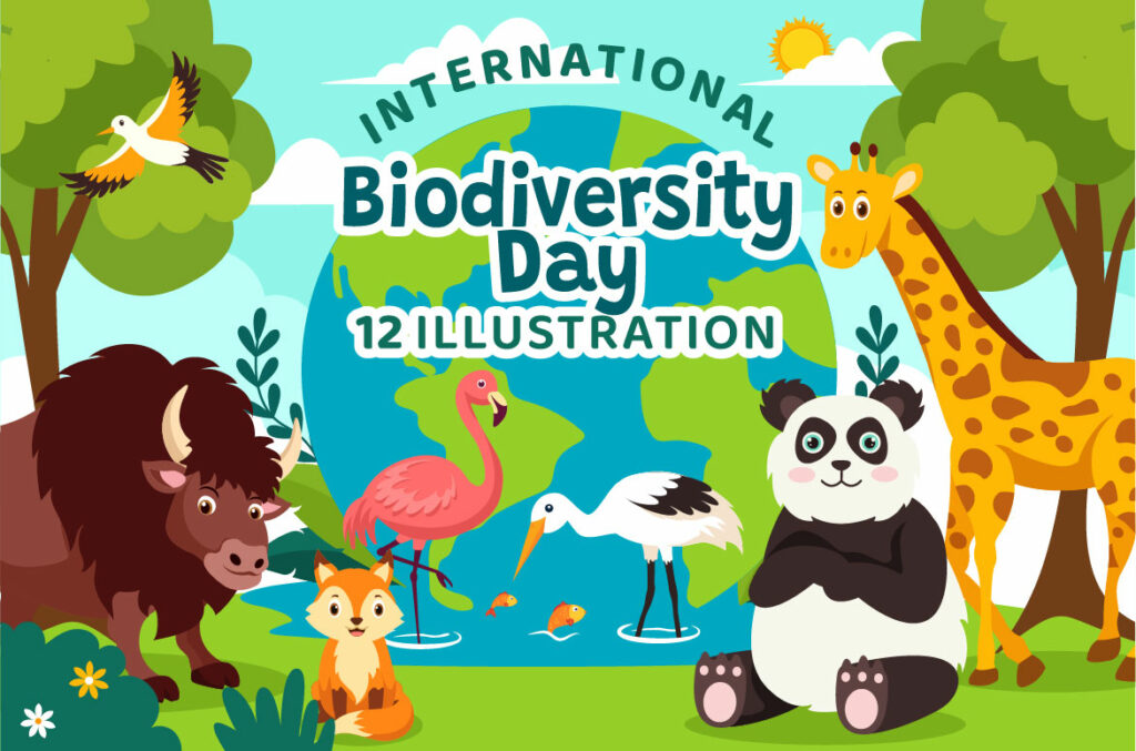 12 World Biodiversity Day Illustration - MasterBundles