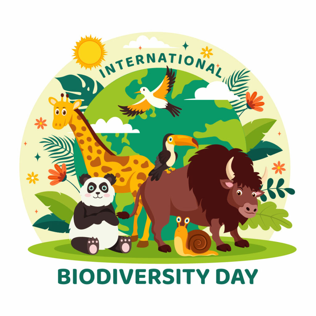 12 World Biodiversity Day Illustration - MasterBundles