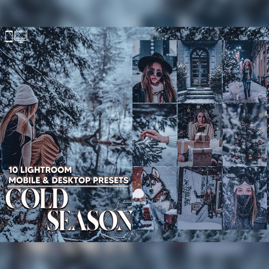10 Cold Season Lightroom Presets, Blue Mobile Preset, Moody Desktop LR ...
