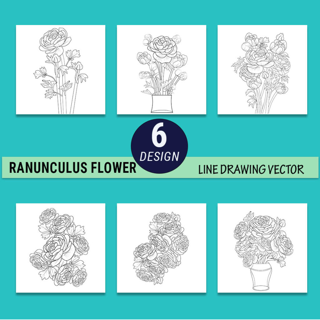 ranunculus line drawing, hand drawing ranunculus drawing, ranunculus ...