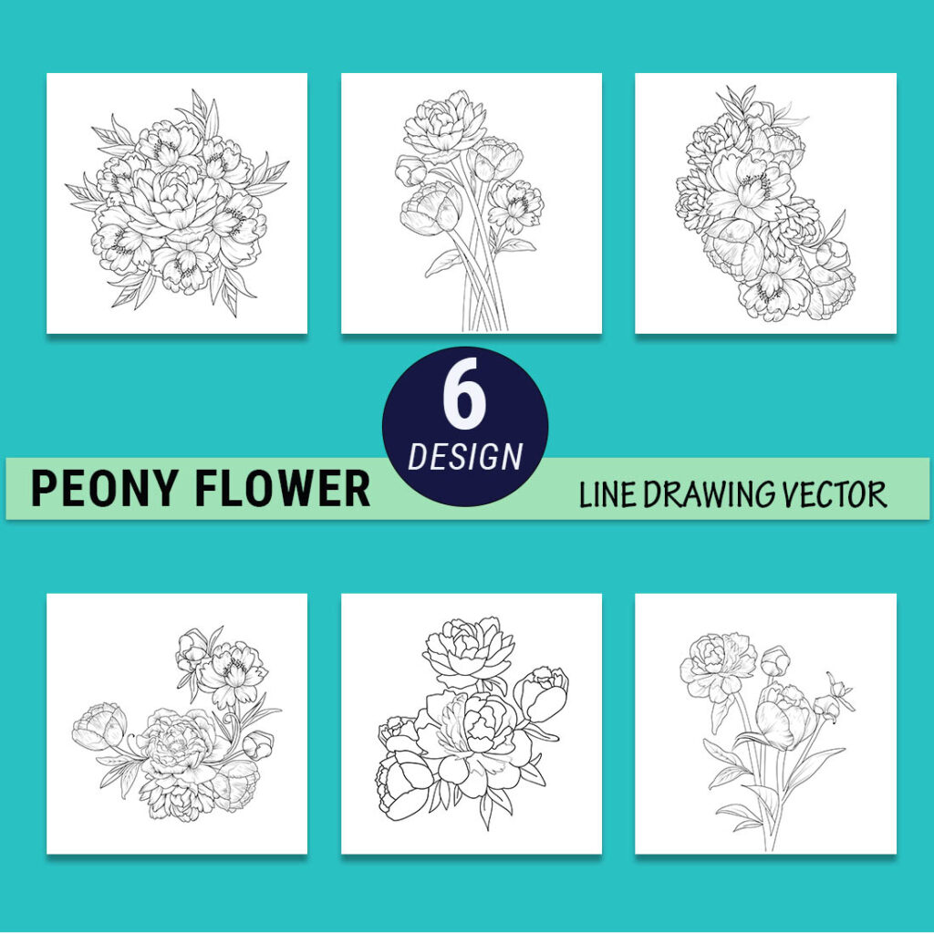 outline peony flower drawing Peony flower vector, Japanese peony flower ...