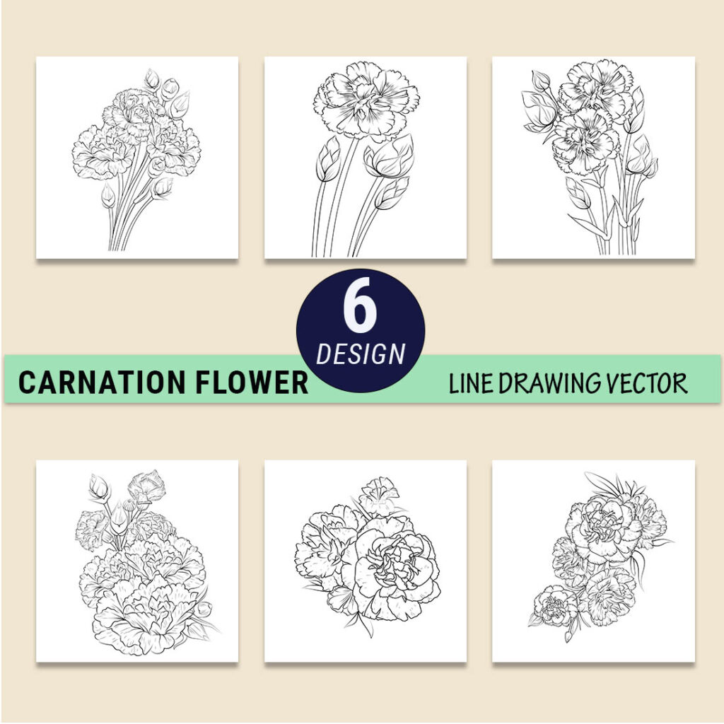 Carnation botanical line drawing, carnation isolated, carnation pencil ...