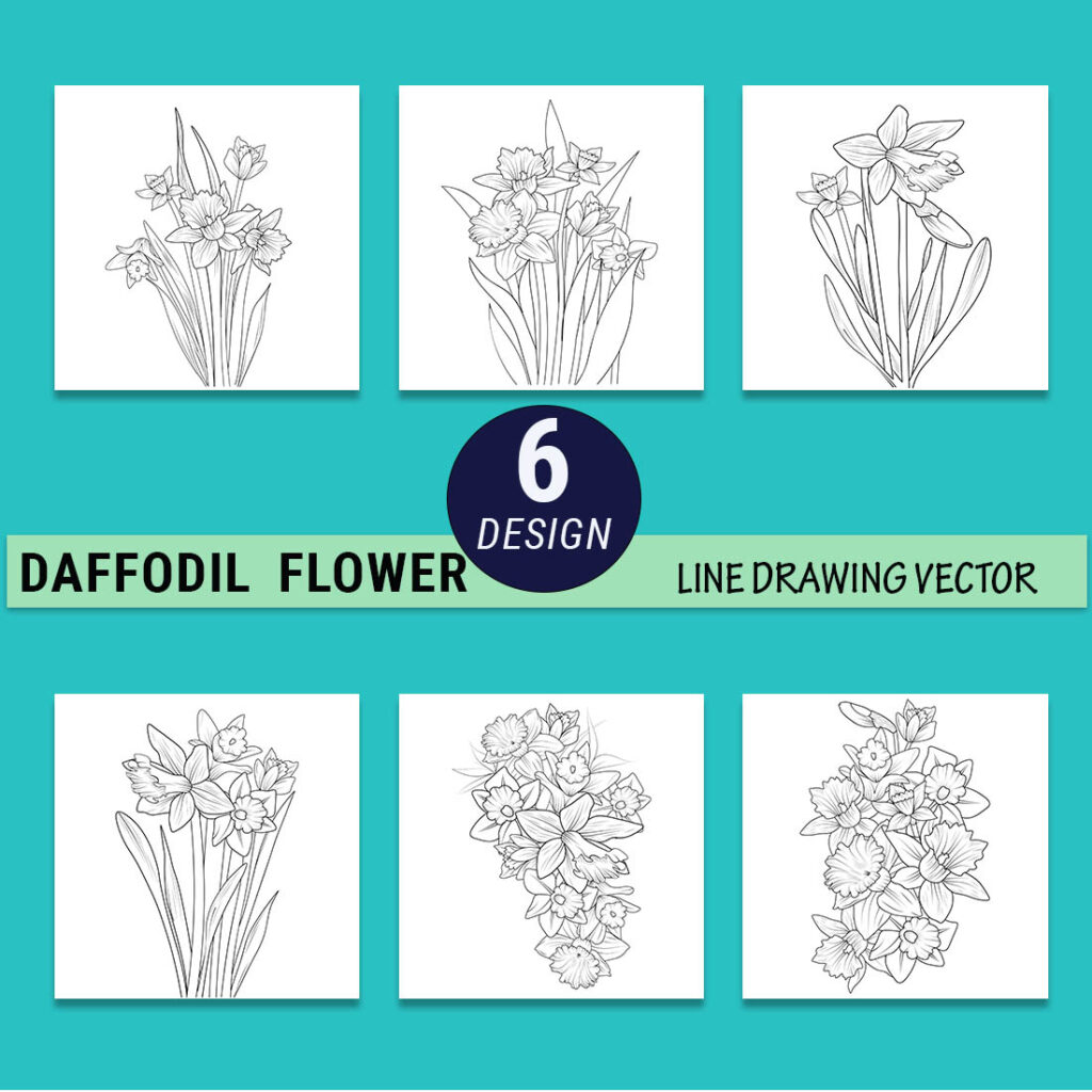 daffodil outline, scientific daffodil botanical illustration, vintage ...