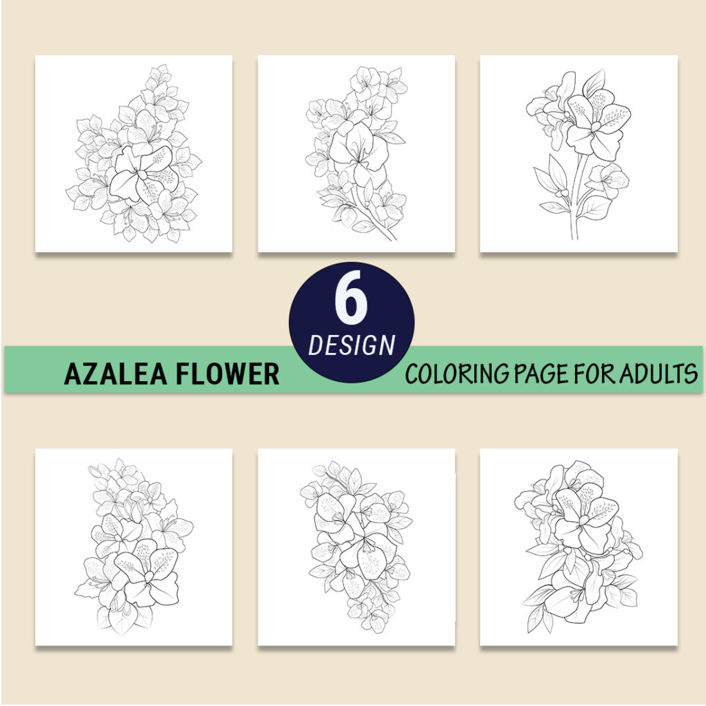zalea flower drawing, azalea bush drawing, azalea flower outline ...