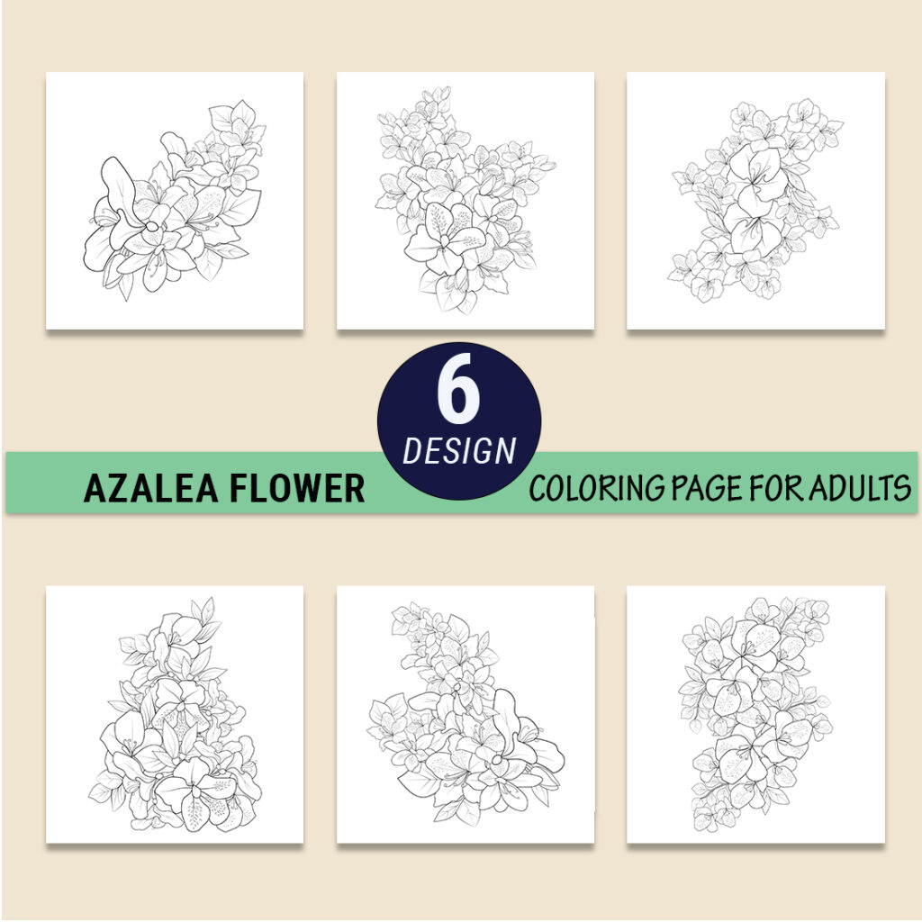 outline azalea drawing, botanical azalea drawing, the national flower ...
