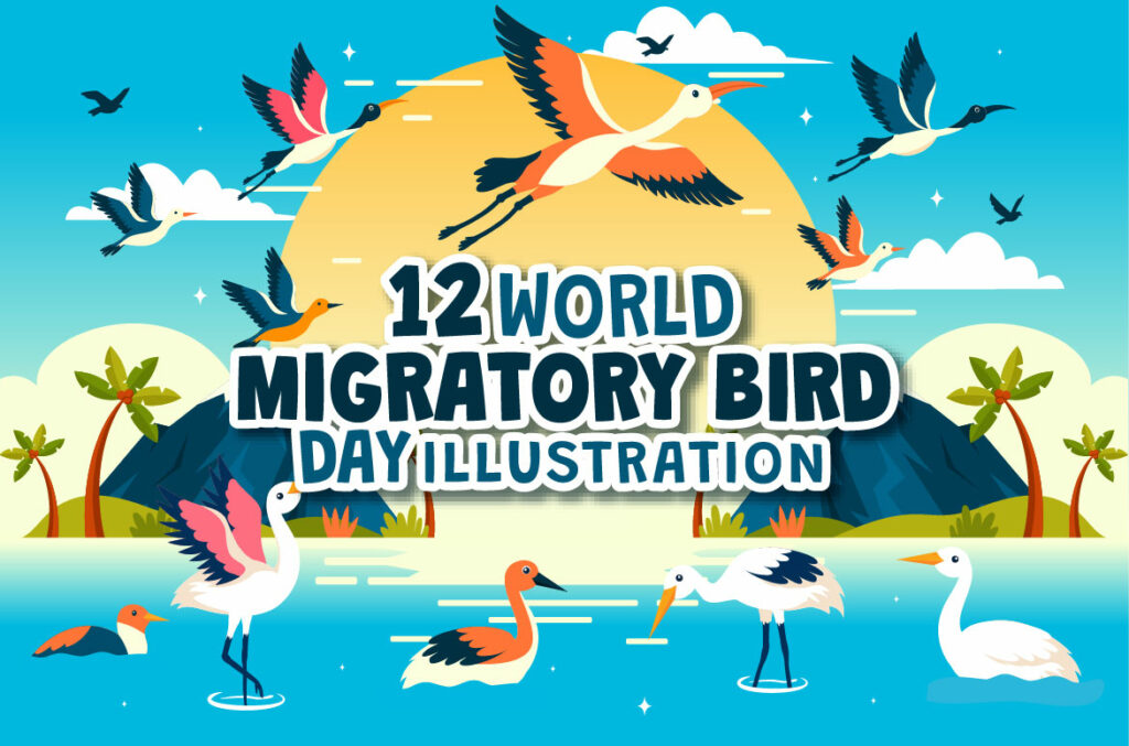 12 World Migratory Bird Day Illustration - MasterBundles