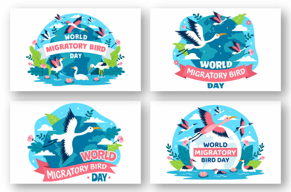 12 World Migratory Bird Day Illustration - MasterBundles