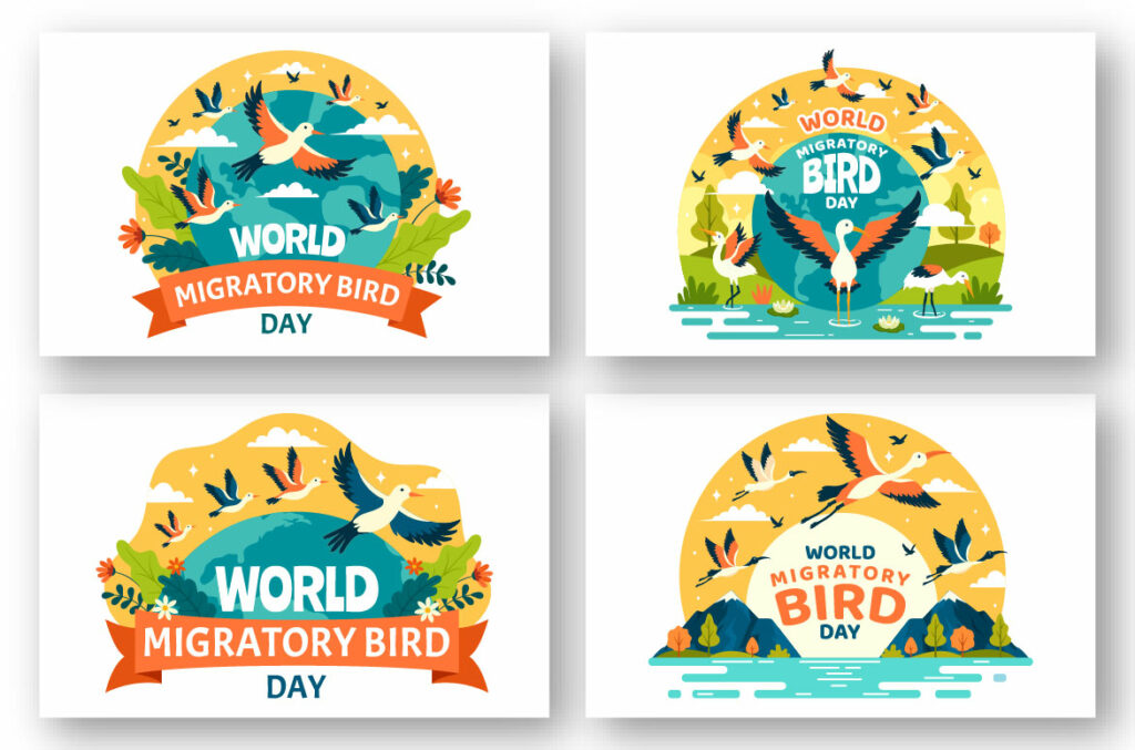 12 World Migratory Bird Day Illustration - MasterBundles