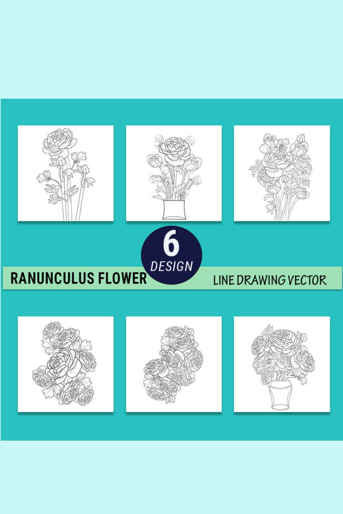 ranunculus line drawing, hand drawing ranunculus drawing, ranunculus ...