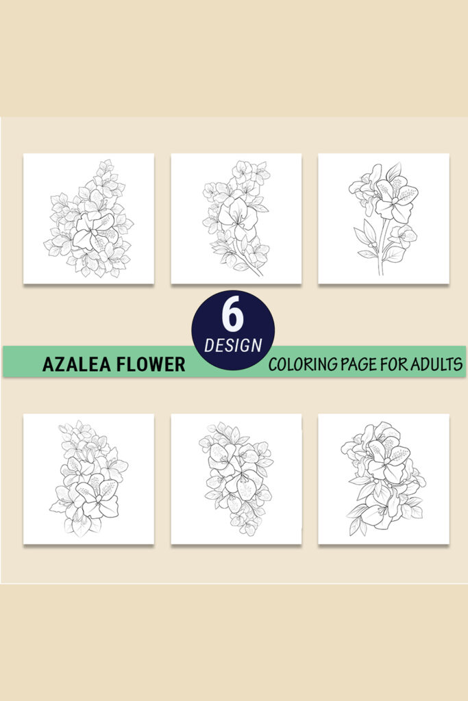 zalea flower drawing, azalea bush drawing, azalea flower outline ...