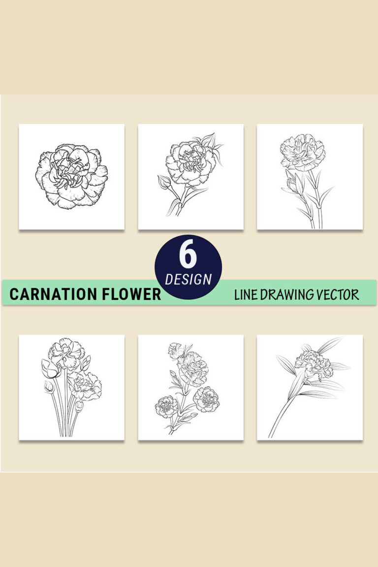 Dianthus flower drawing, carnation flower line art, carnation clipart ...