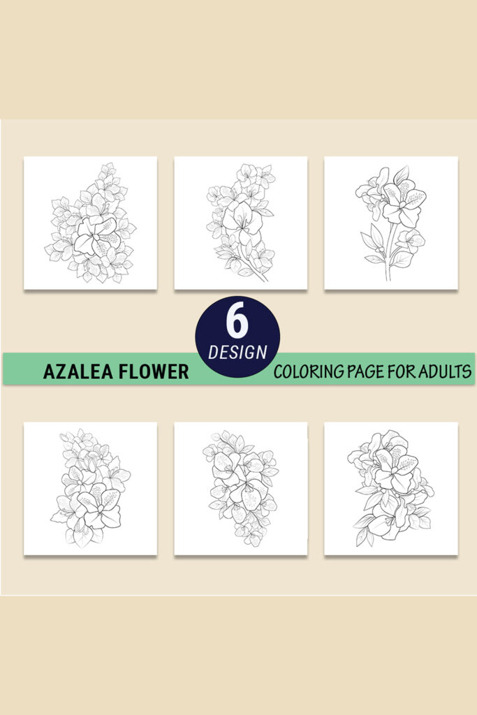 outline azalea drawing, botanical azalea drawing, the national flower ...