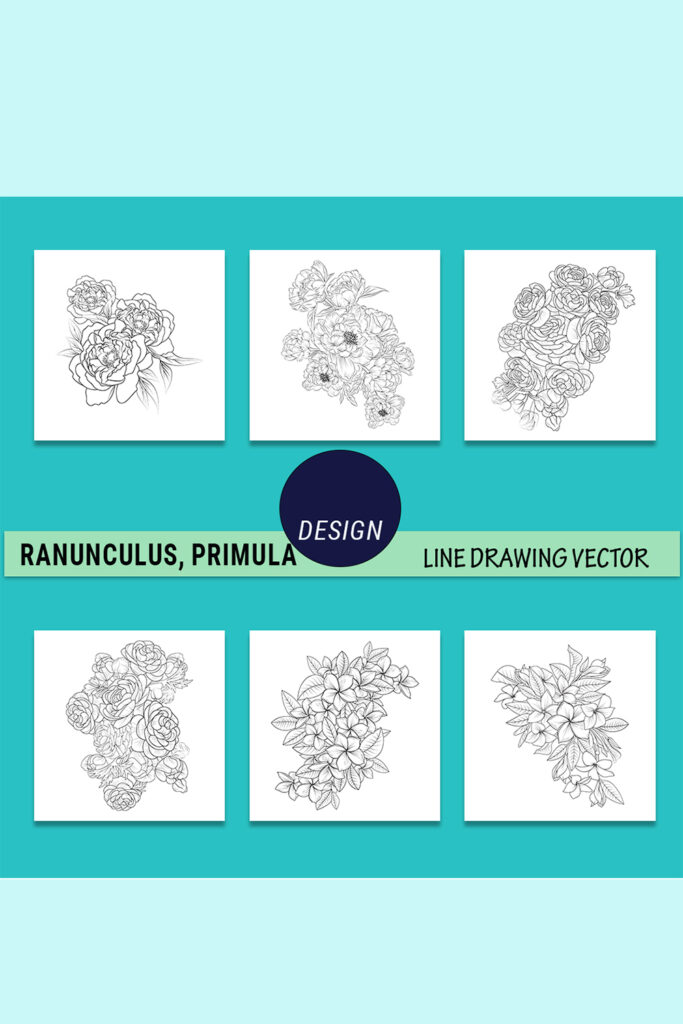 Hand Drawing Ranunculus Drawing Ranunculus Illustration Frangipani Flower Drawing Linework