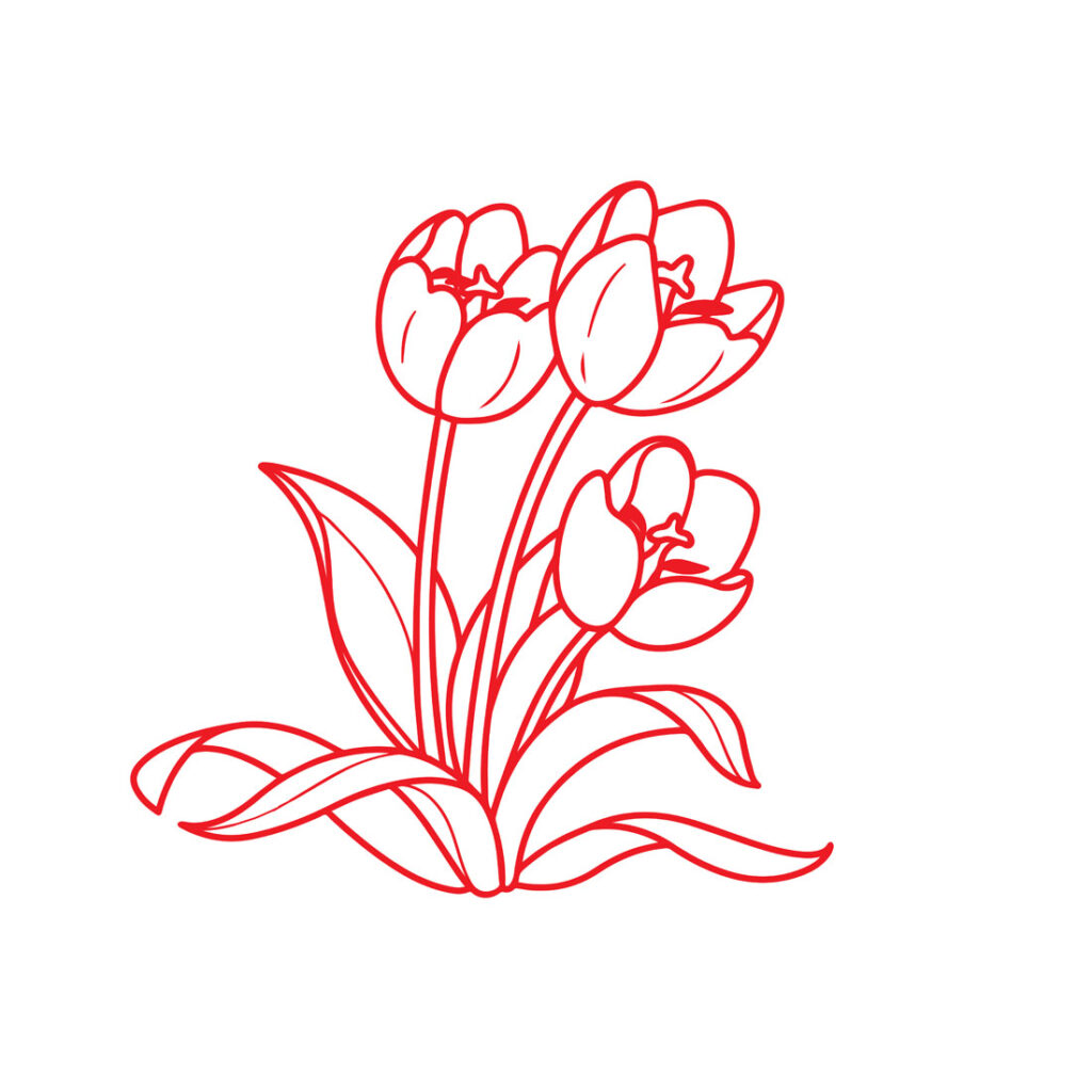 4 flower line drawings in red color suitable for drawing books, tattoos ...