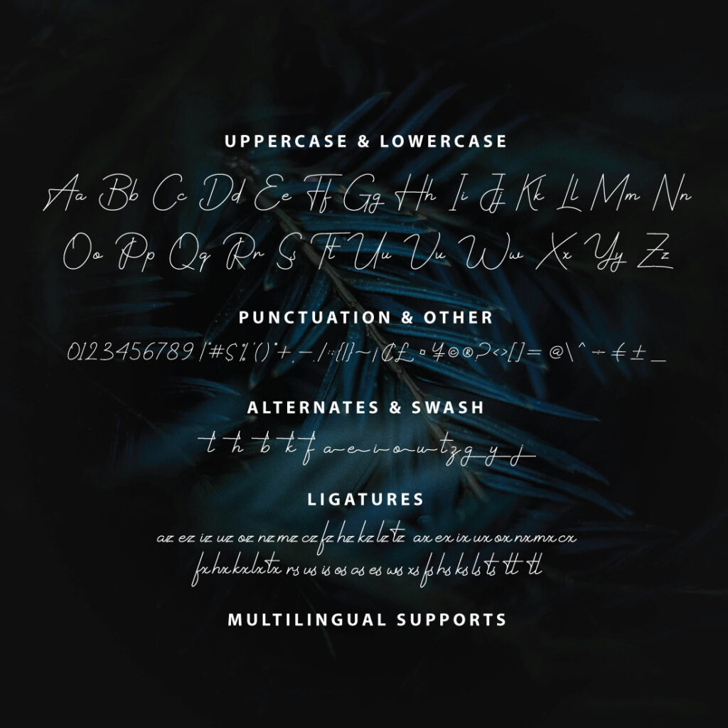 Rastery Signature. A Modern Signature Font. - MasterBundles