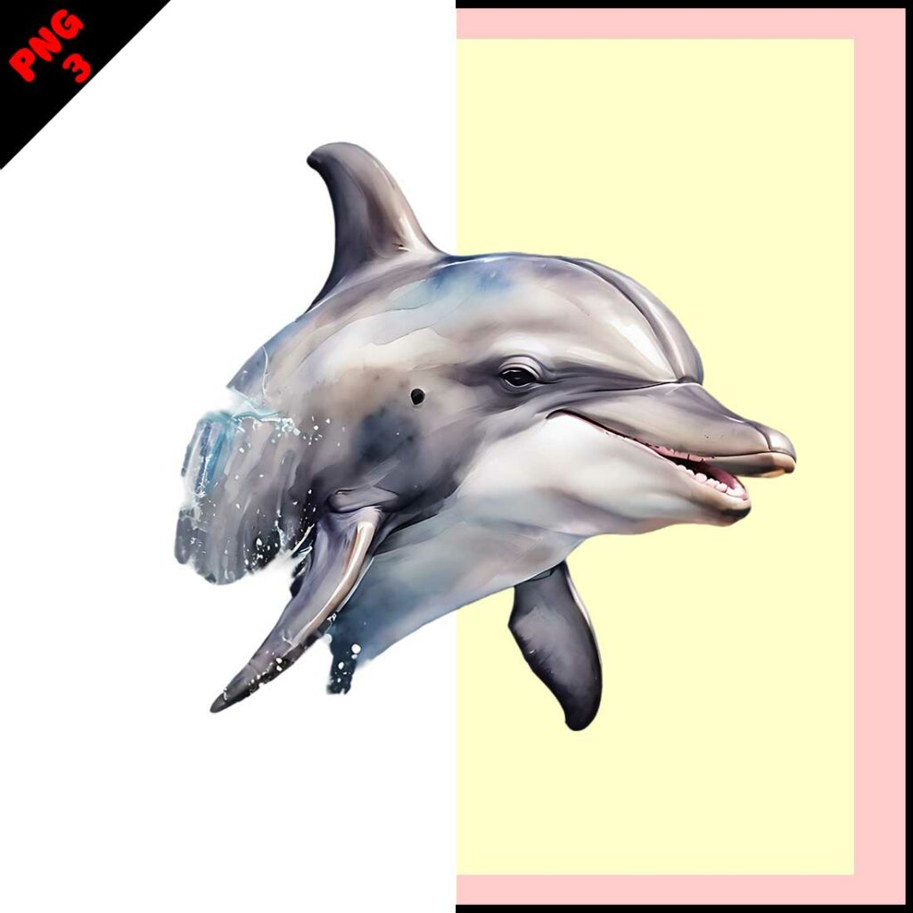 Dolphin Watercolor Art 4 Transparent PNG Illustrations - MasterBundles