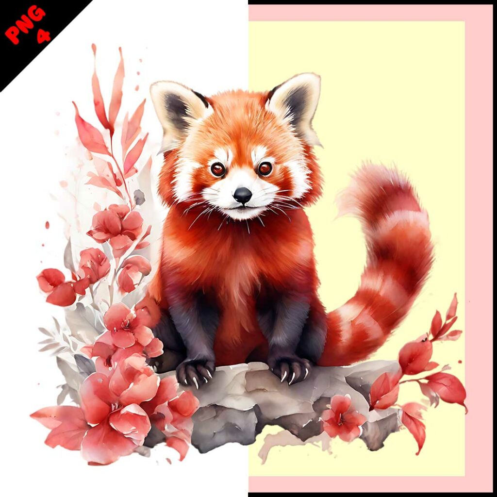 Red Panda Watercolor Art 4 Transparent PNG Illustrations - MasterBundles
