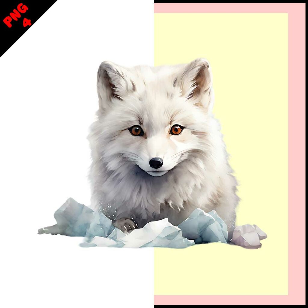 Arctic Fox Watercolor Art 4 Transparent PNG Illustrations - MasterBundles