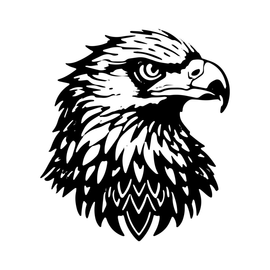 egel line artwork vector . eagle head line drawing - MasterBundles