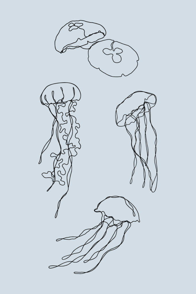 Jellyfish Line Art Bundle Of 6 | Continuous Line Vector Ocean Animals ...