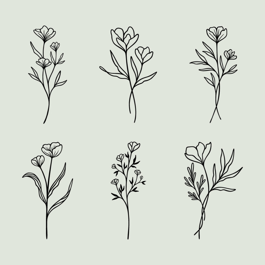 Flower Line Art Bundle | 6 Elegant Wildflowers | Botanical Floral ...
